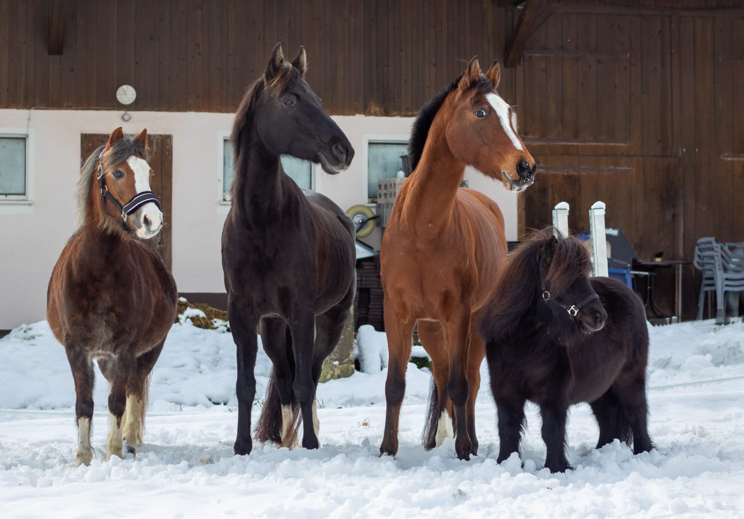 Reitschule Ponyglück - Unser Team
